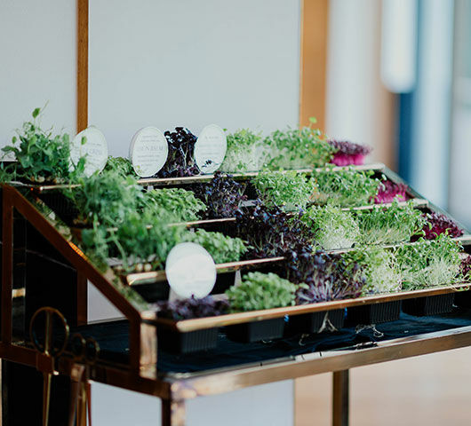 Ontdek de voordelen van kweek- en oppottafels voor jouw tuin | Tuinshop.nl